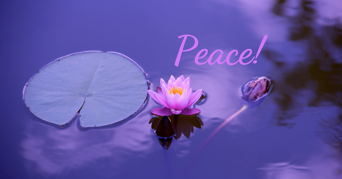 WANT MORE PEACE?